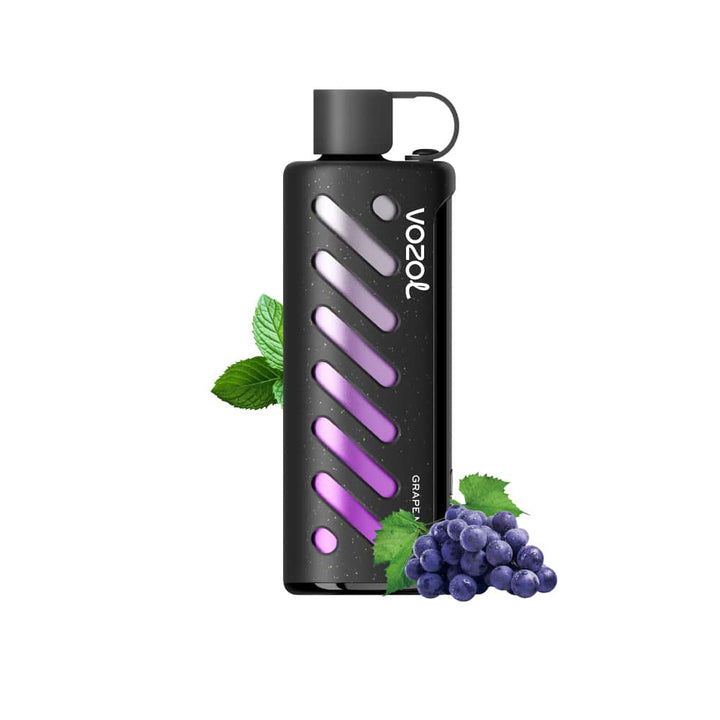 VOZOL VAPE - Offizieller Store DE